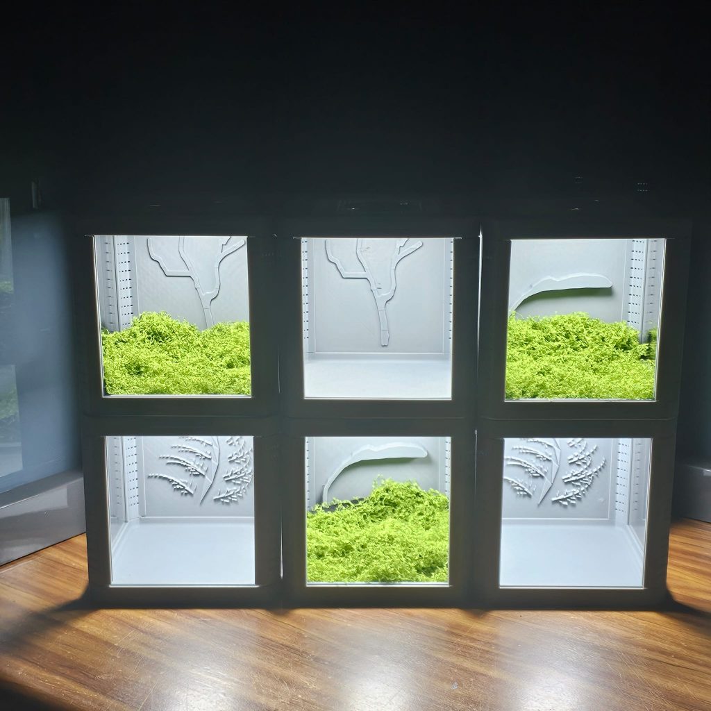 3D-Printed Isopod Display Vivarium – With Ventilation & Light Option ...