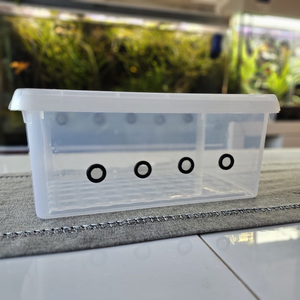 10 Litre Ventilated Tub – Escape-Proof Housing For Isopods, Fruit Flies ...