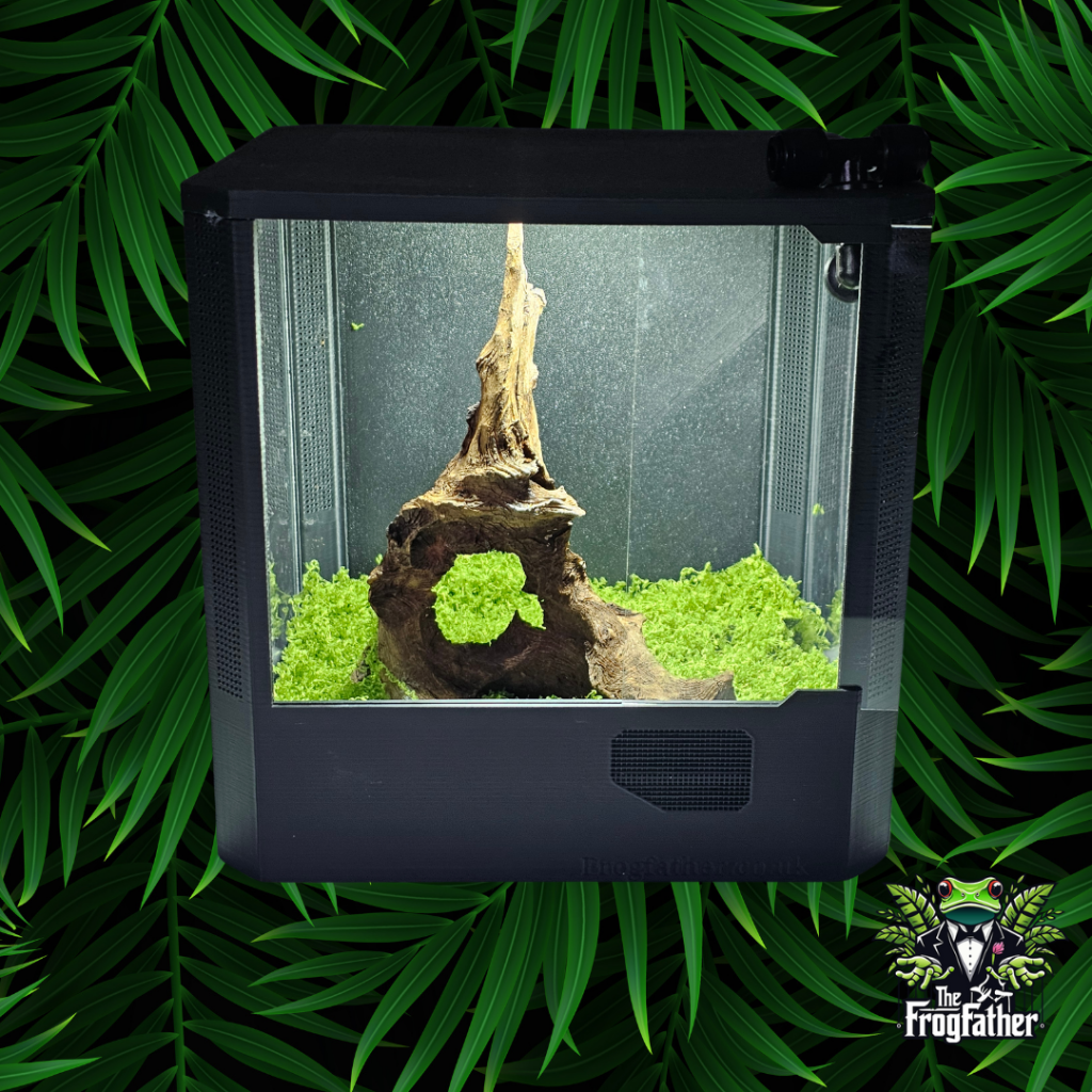 Display Vivarium Cube Enclosure - FROGFATHER