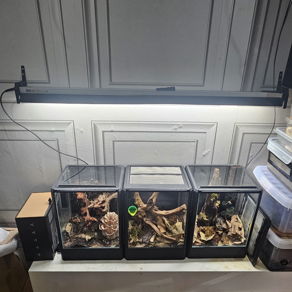 3D Printed Wall Mounts For Arcadia T5 Lights – Pair - FROGFATHER