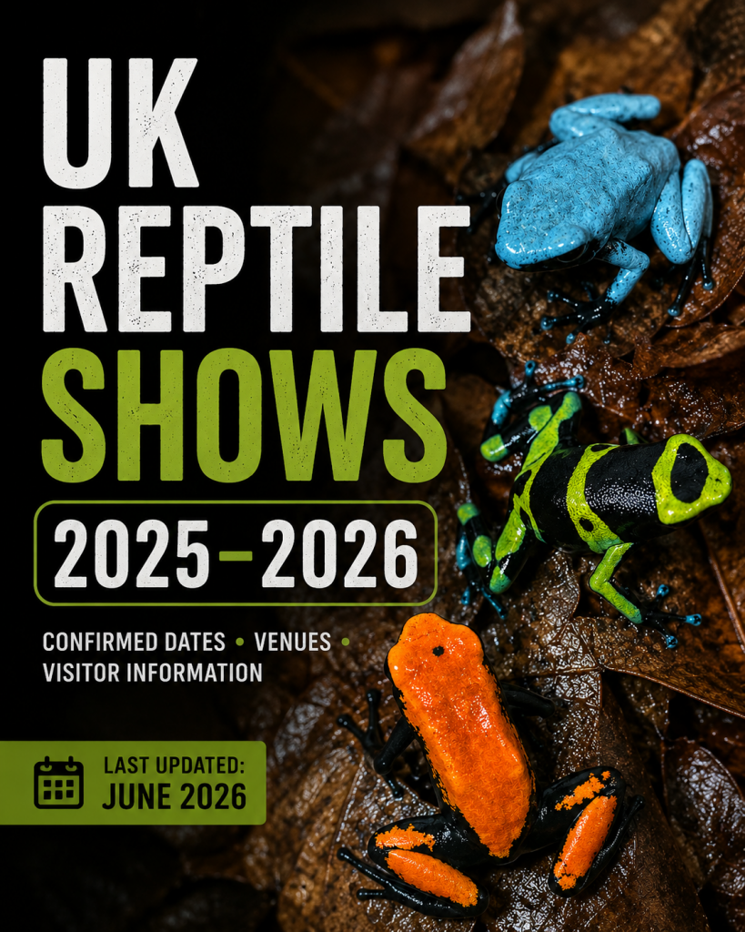 UK Reptile Shows 2025 & 2026 – All The Dates, Times & Whereabouts ...