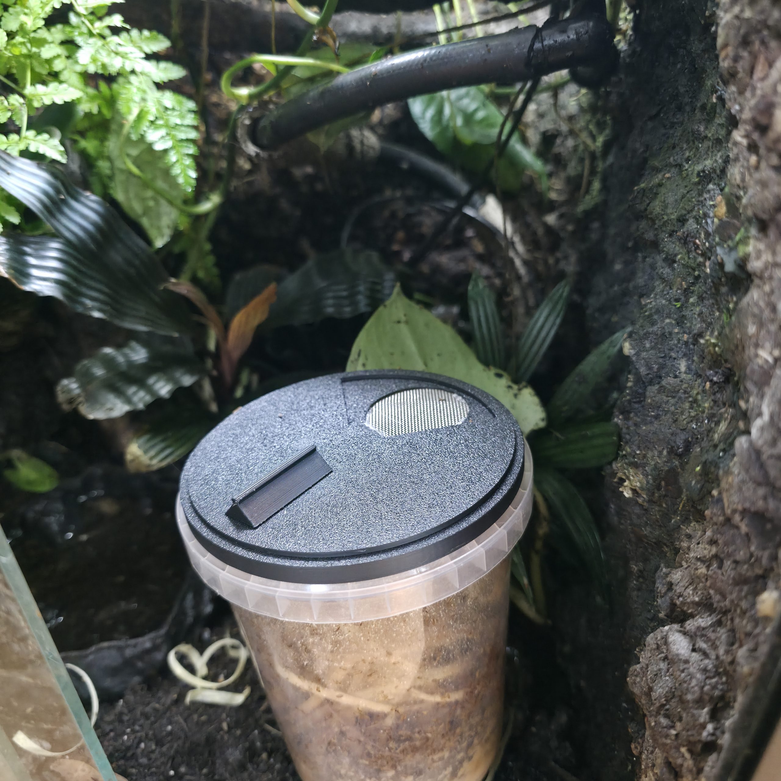 Clip-On Fruit Fly Feeder Lid – Holiday Feeder & Dusting Tap-Out ...