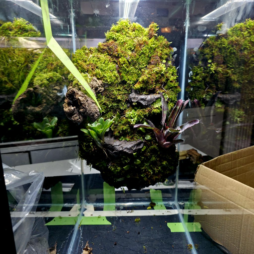 Terrarium Glue & Vivarium Clay | Dart Frog Safe Background Builder ...