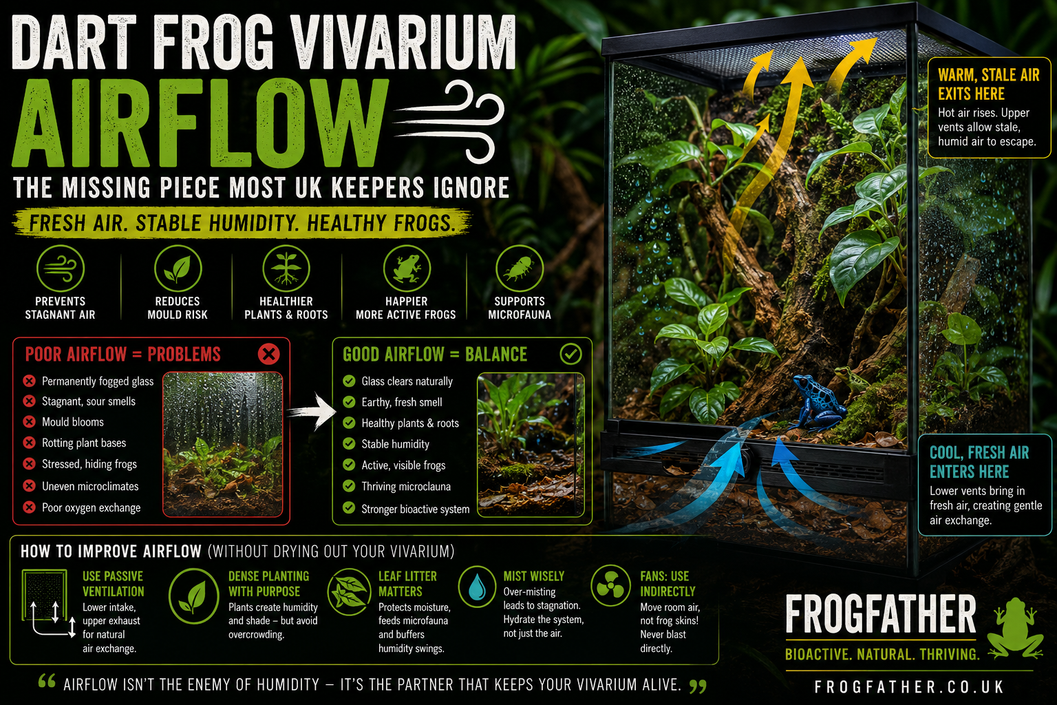 Dart Frog Vivarium Airflow: The Missing Piece Most UK Keepers Ignore ...